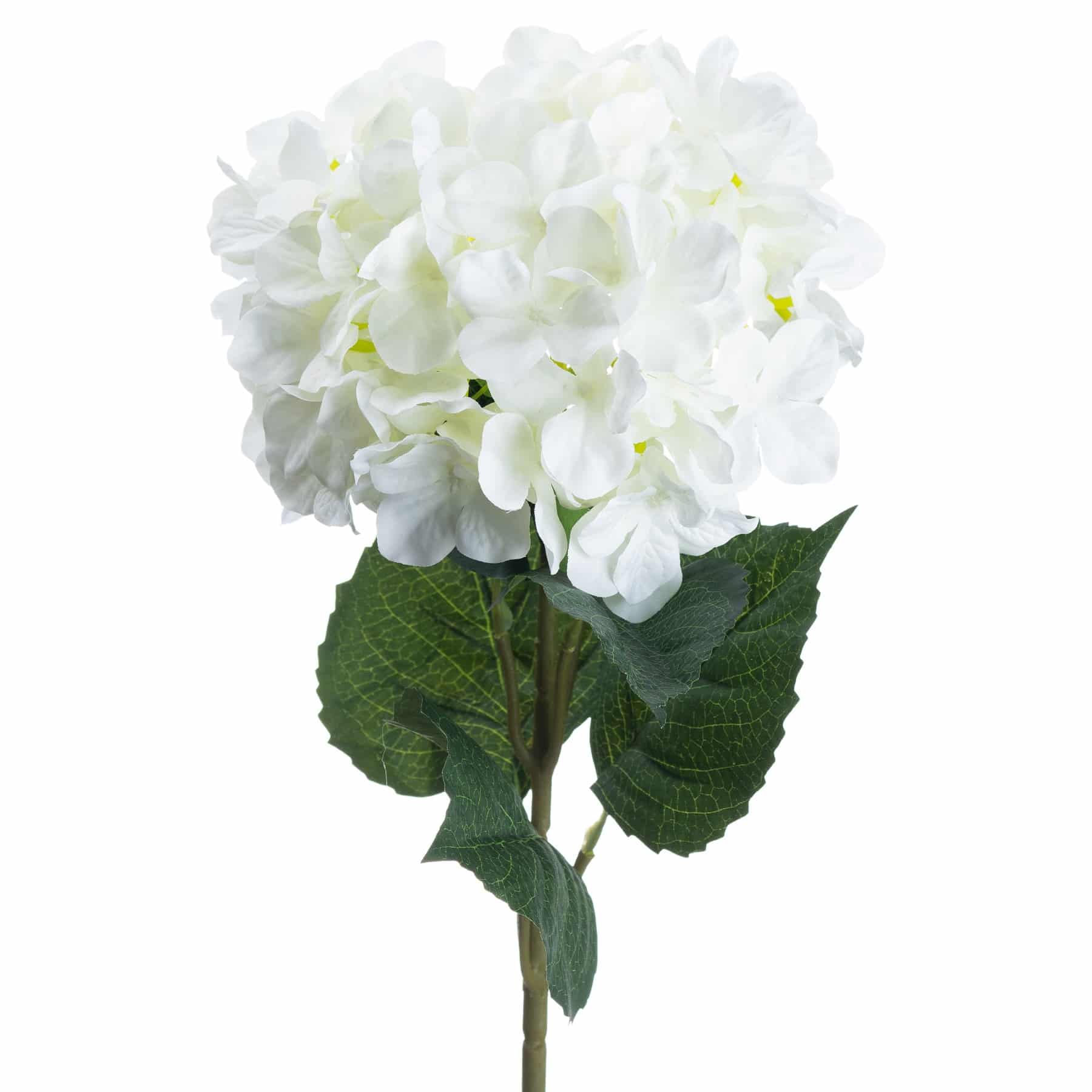 Single White Hydrangea - Roost Home & Lifestyle