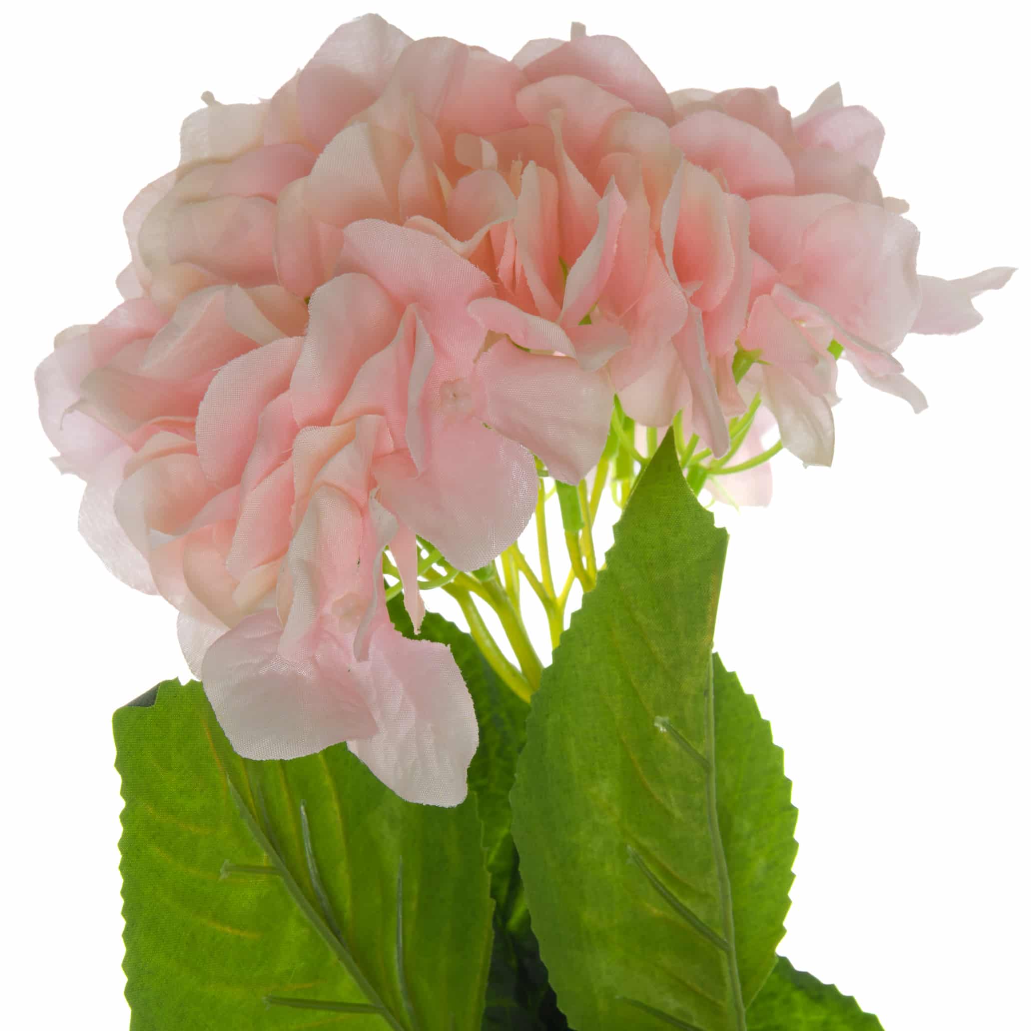Single Pink Hydrangea - Roost Home & Lifestyle