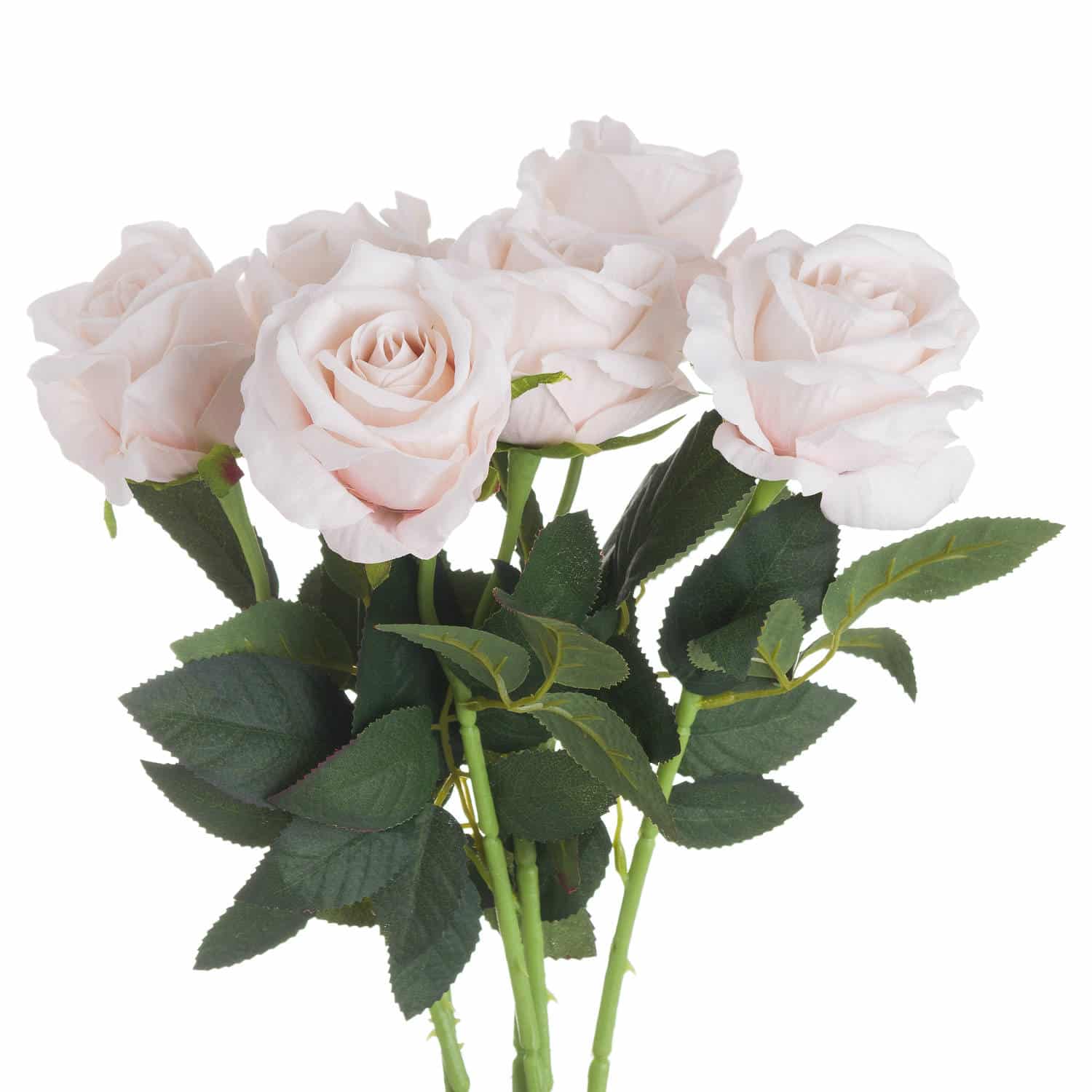 Pink Cream Tea Rose - Roost Home & Lifestyle