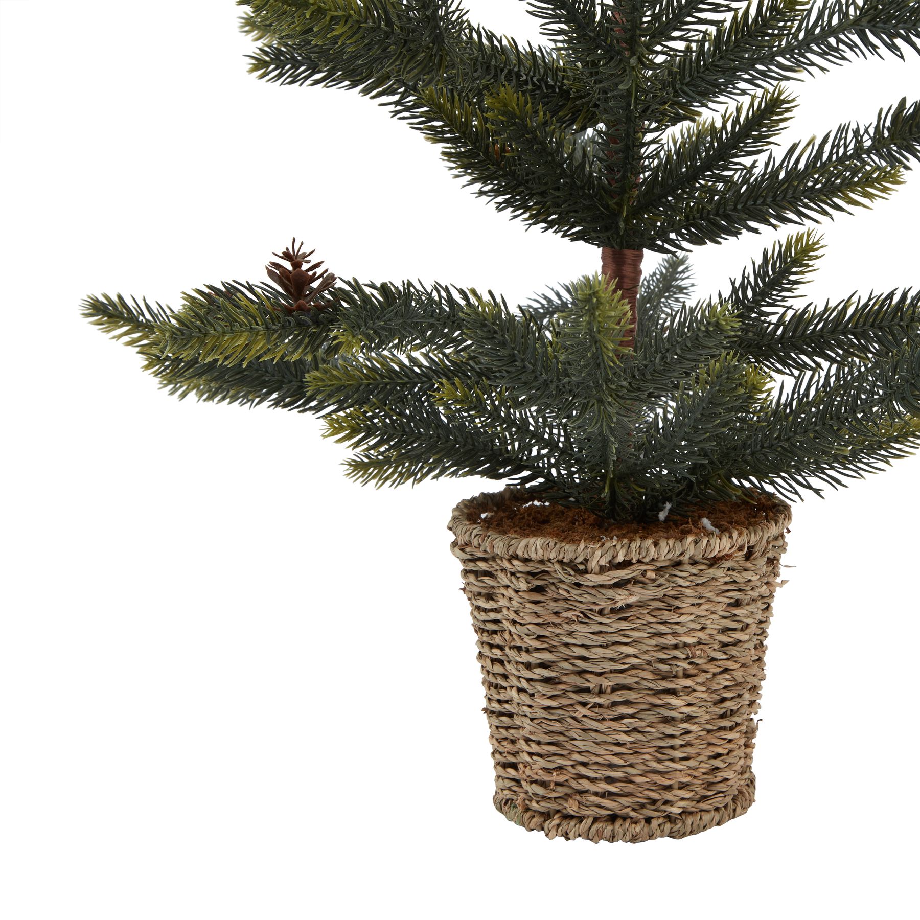Medium Spruce Tree With Wicker Basket - Roost Home & Lifestyle
