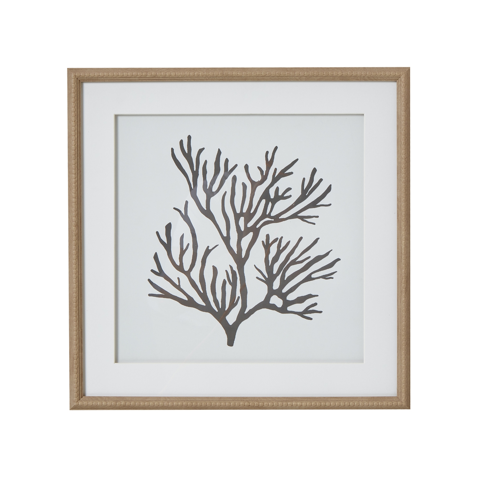 Reef Coral Art Mounted In Beaded Frame - Roost Home & Lifestyle