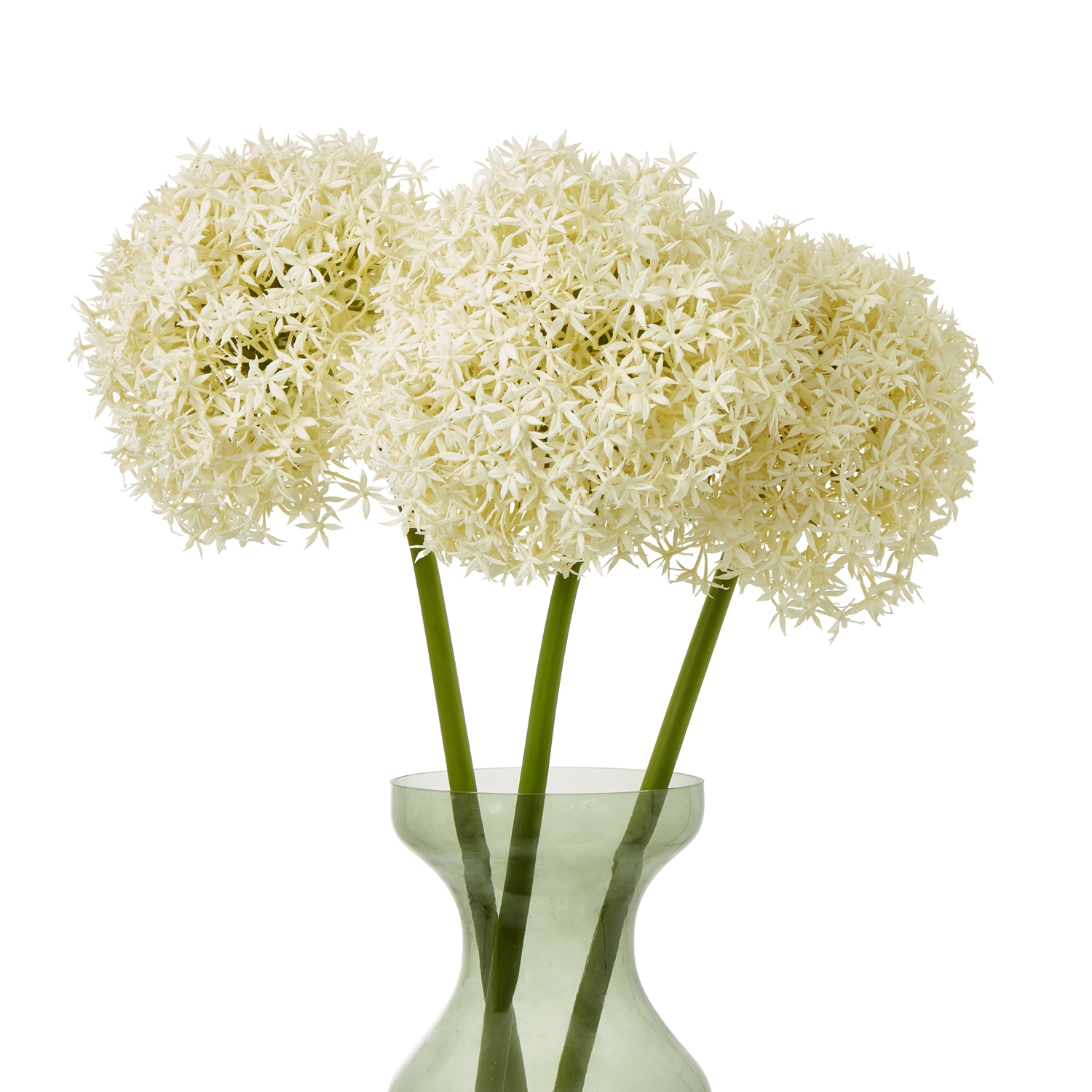 Cream Giant Allium Stem - Roost Home & Lifestyle